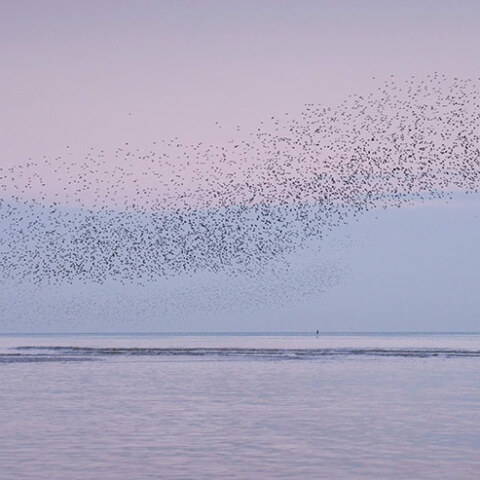 Interview: Robert Hampson of Loop - Brighton Source